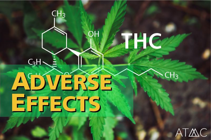 Cannabis-Induced Psychosis | Risks of Cannabis Use Disorder