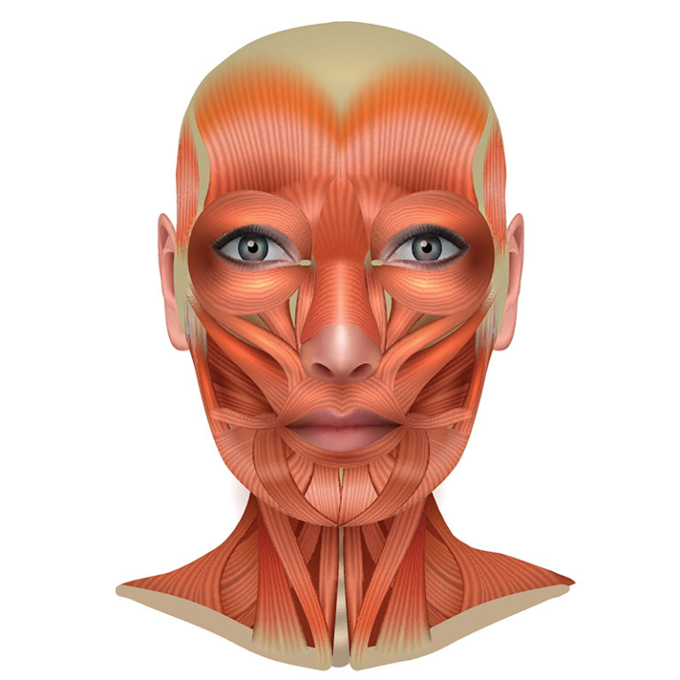 Understanding the Potential Risks of Long-Term Quetiapine Treatment ...